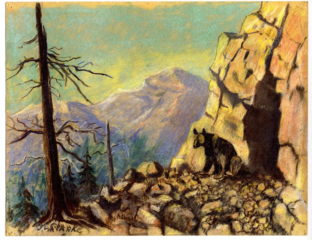John Clarke Art for Sale | The Clarke Gallery